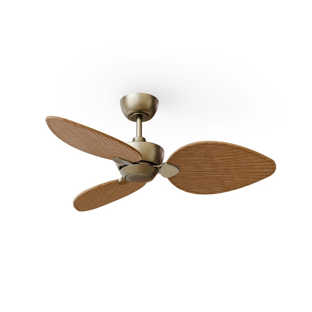Ceiling fan Alma 100 Brass 3 blades - Sulion - Wonderlamp.shop